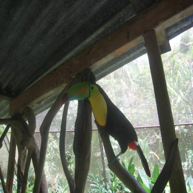 nerds (nerds-xnmvp) - Roboflow Universe