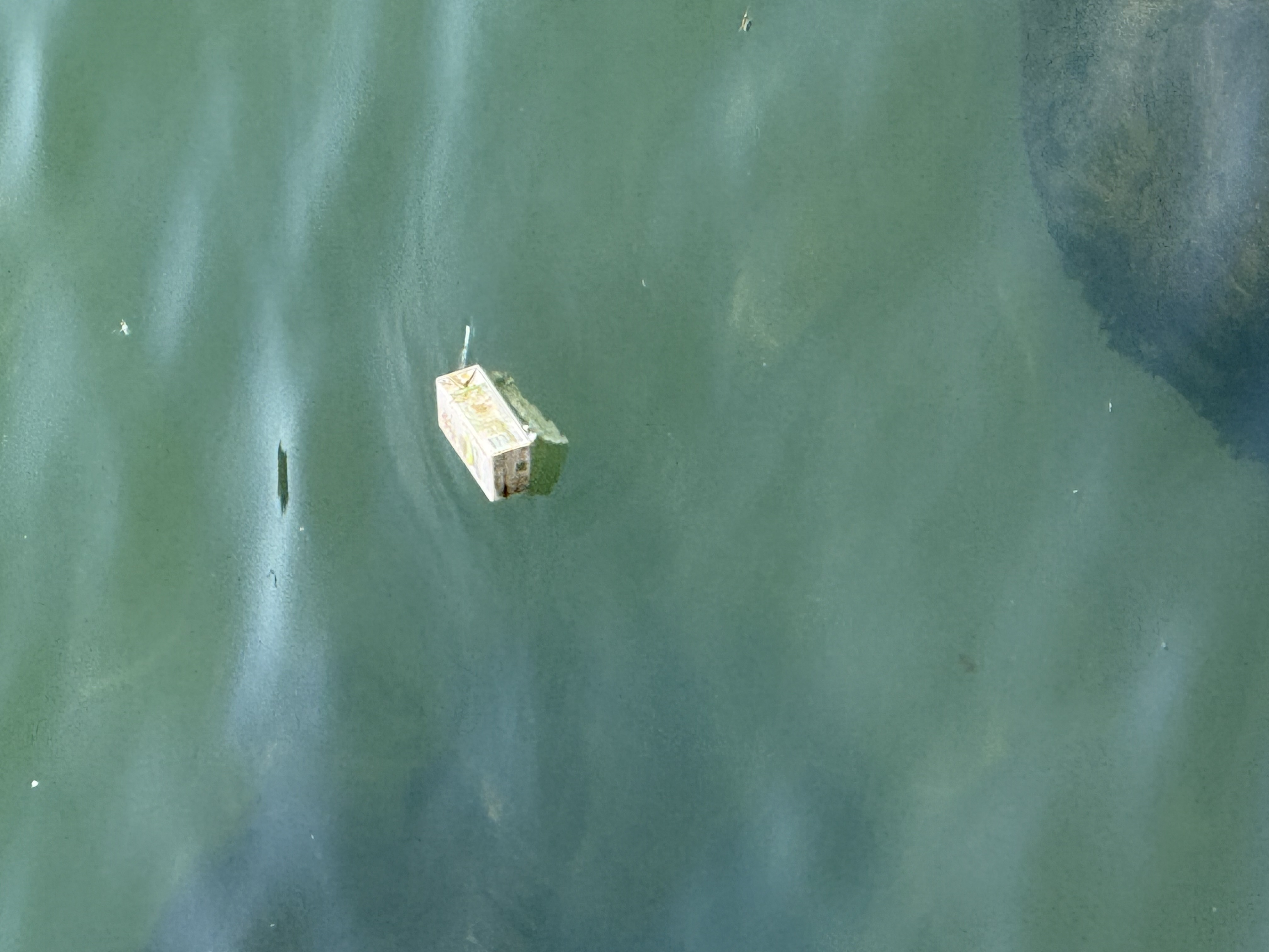 yolo 8 project Object Detection Dataset by yolo deeplearning