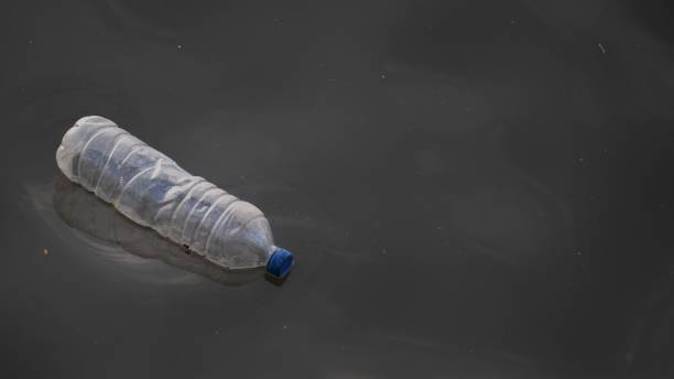 yolo 8 final Object Detection Dataset by yolo deeplearning