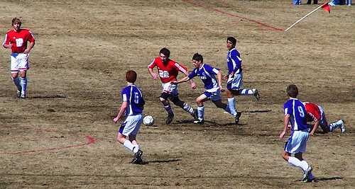 balls Object Detection Dataset and Pre-Trained Model by fairdemo