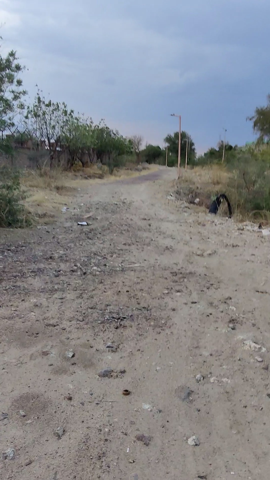 Road And All Instance Segmentation Dataset And Pre Trained Model By Roadsegmentation