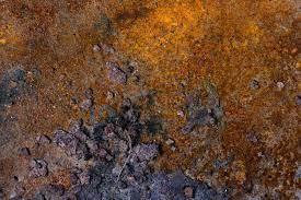 Detect And Classify 2 Single-label Classification Classification Dataset by Workspace