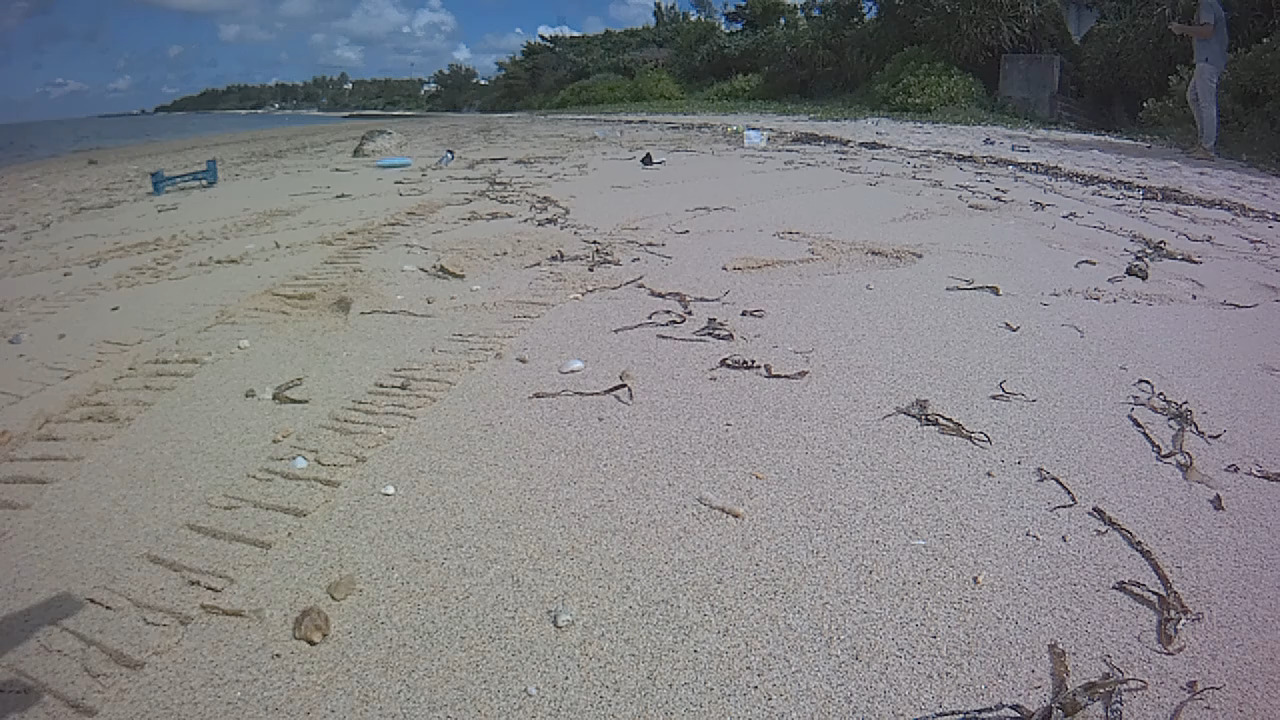 How to Use the trash detection Object Detection API