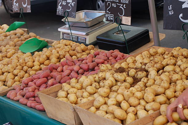 potato_dataset_tubitak Instance Segmentation Model by seher