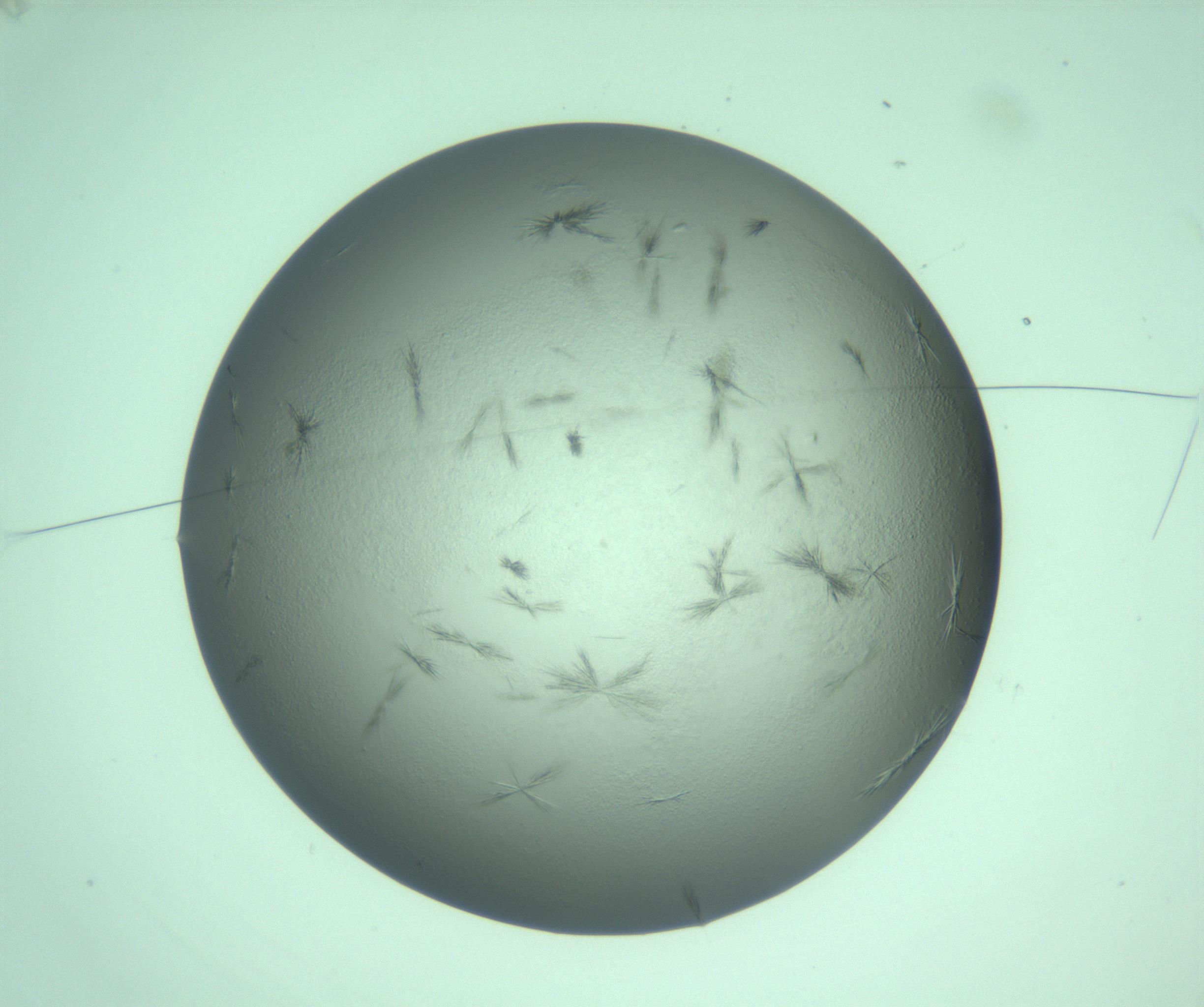 mj23 - Roboflow Universe