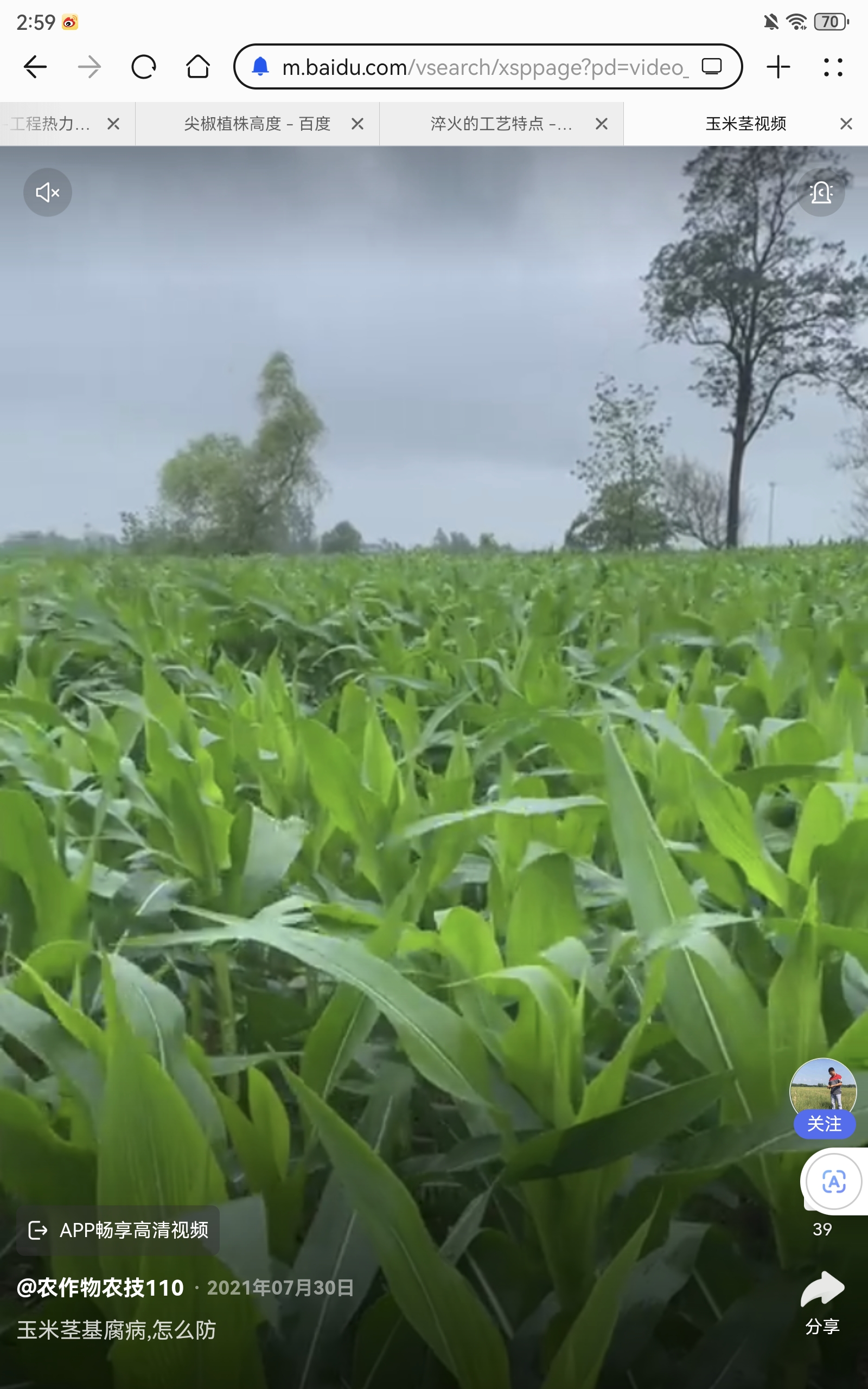 corn Instance Segmentation Dataset by Aurora