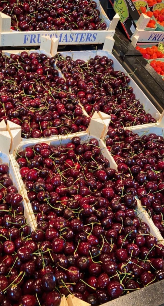 Cherry Cao Object Detection Model By Cherry