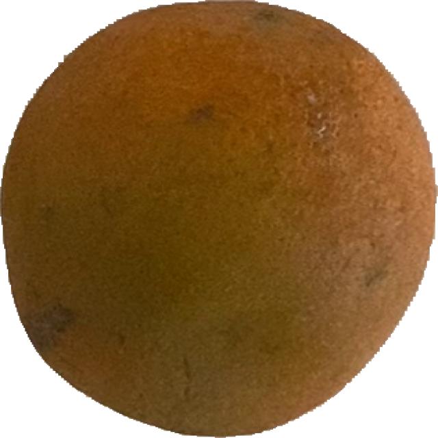 t1 Instance Segmentation Dataset and Pre-Trained Model by coco