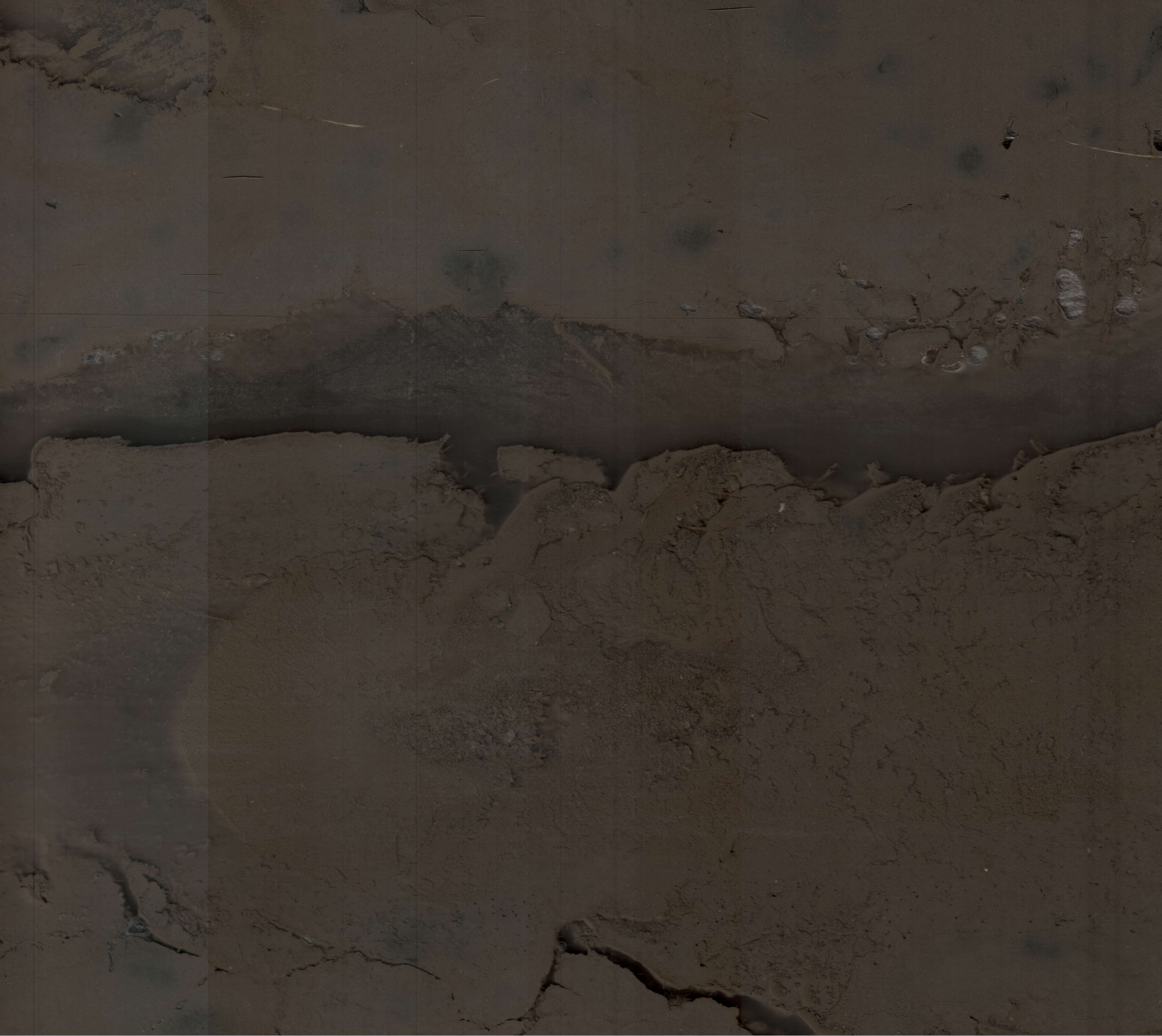 Rock detection - BEF Rice Roots Object Detection Model by Roberto Workspace
