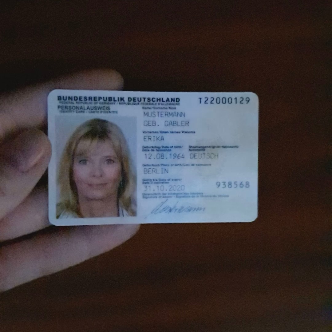 cropped-yolov8-obb Object Detection Dataset by Yassien POC Project