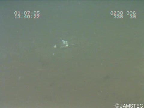 Under water marine life detection Object Detection Model by be project
