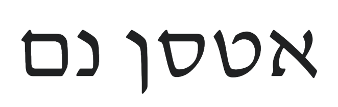 How to Use the bbox around letters Object Detection API