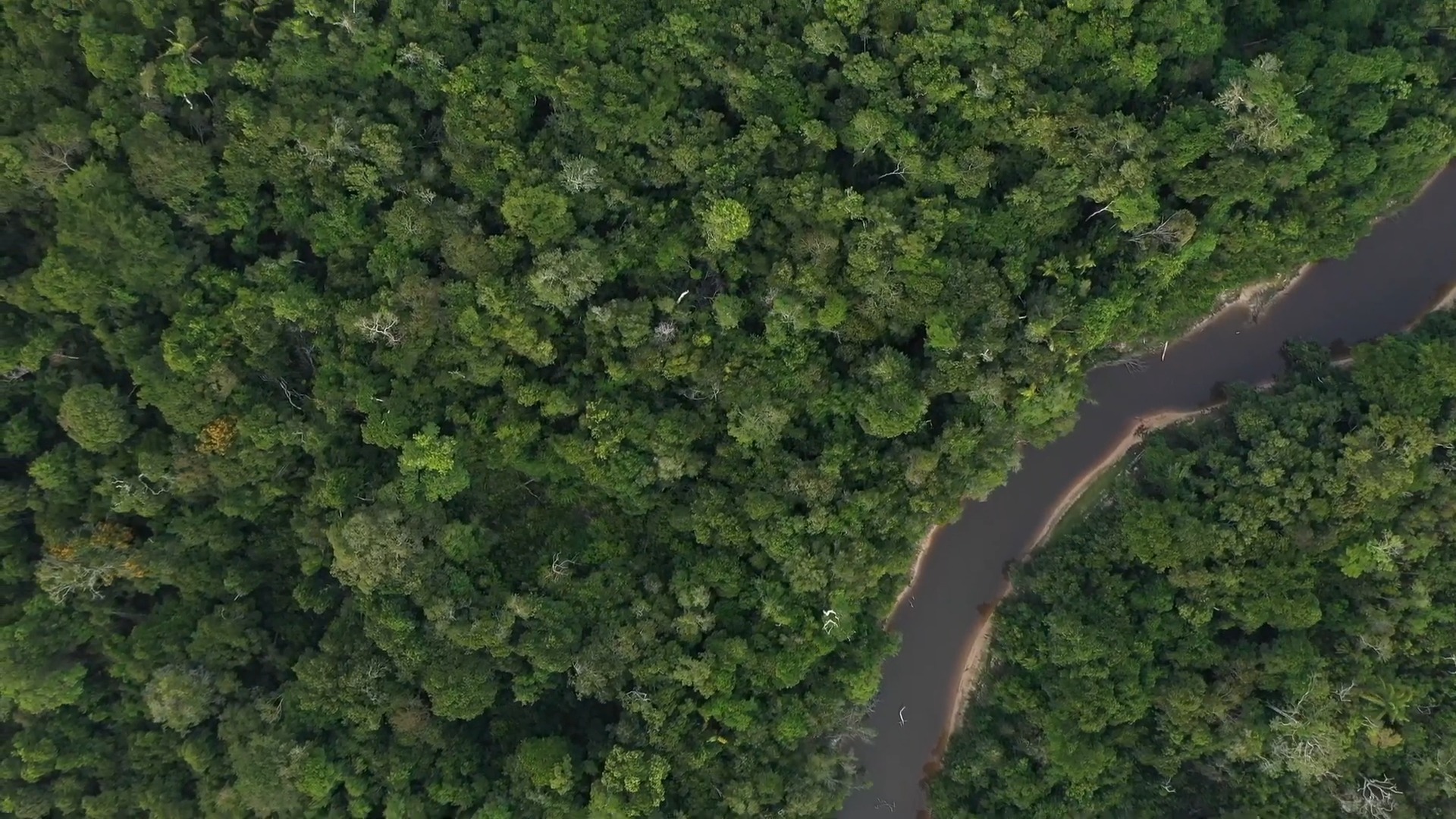 MODELO_PALMS Object Detection Dataset by PALMS