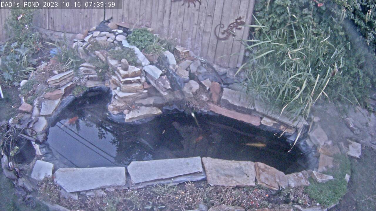 Pond Detector Instance Segmentation Dataset And Pre Trained Model By Macmaniac77