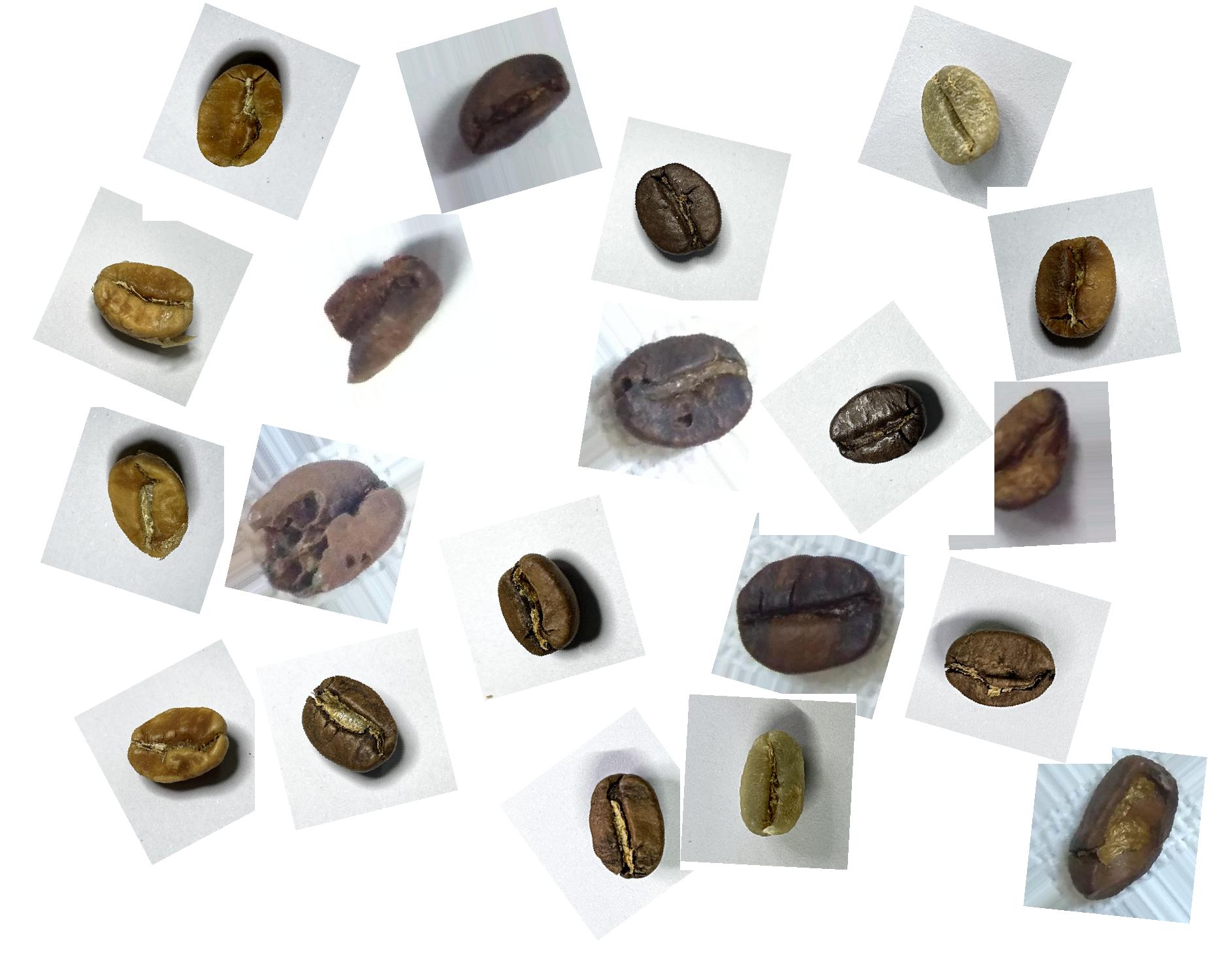 Roasted Coffee Bean 300 Object Detection Model by Bai Pang