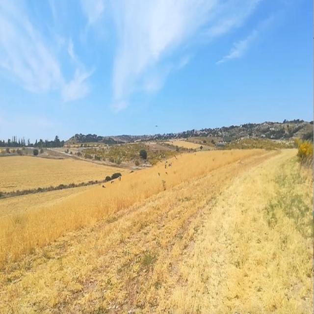 Proyecto Agricultura Object Detection Dataset And Pre Trained Model By