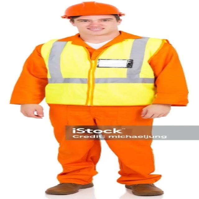 Worker Object Detection Dataset By Worker And Ladder