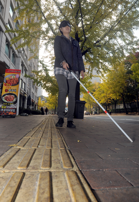 DPI_Cane Object Detection Dataset by Elishian