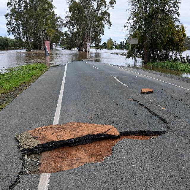 SALIK SYSTEM PROJECT Object Detection Model by SALIK SYSTEM