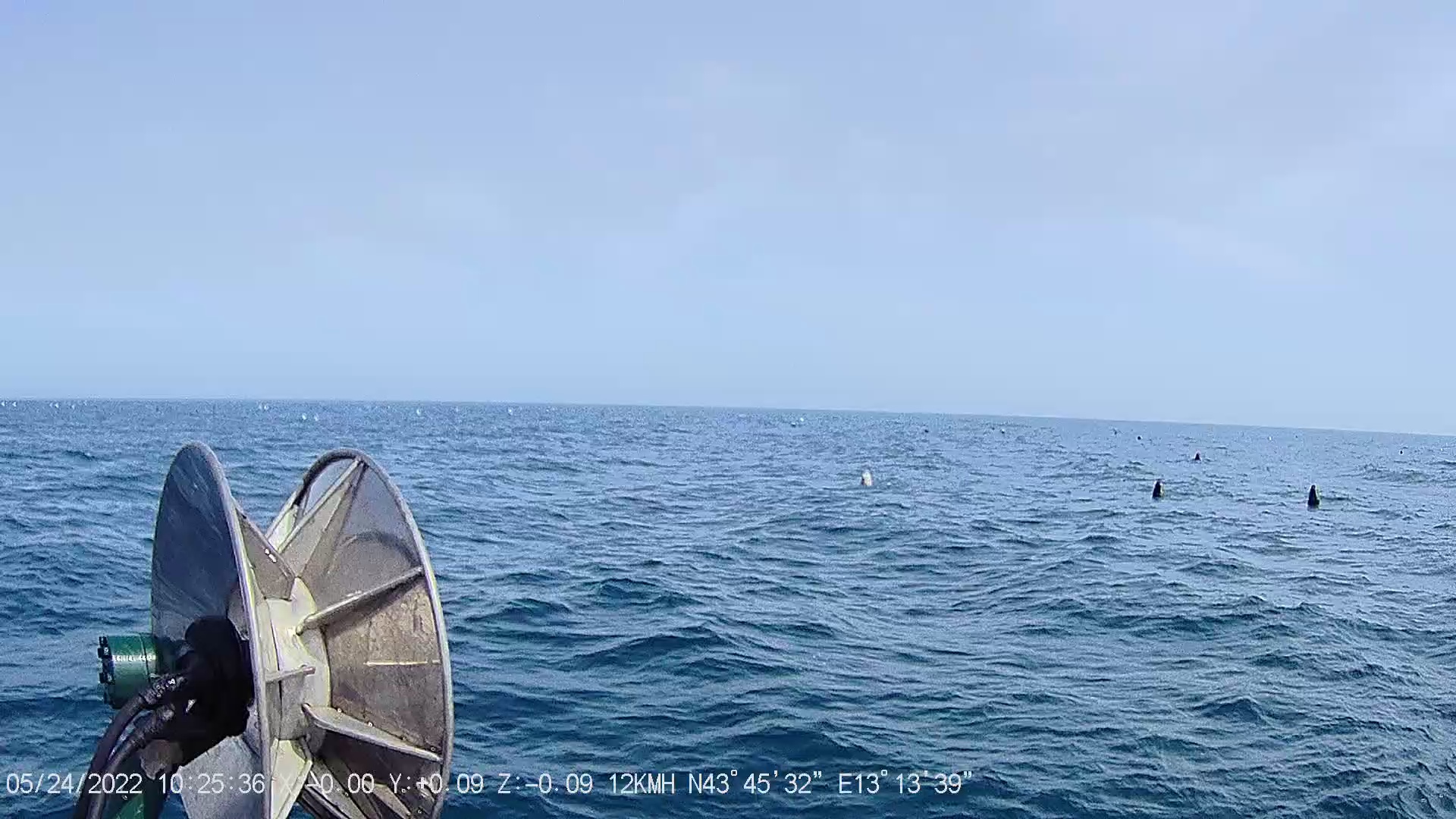 Tirocinio v1.01 Object Detection Dataset and Pre-Trained Model by Tirocinio