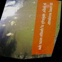 turban detection (turban-detection-cxxtz) - Roboflow Universe