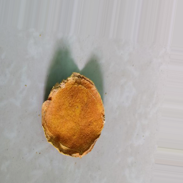 tfrecord Object Detection Dataset and Pre-Trained Model by tfrecord