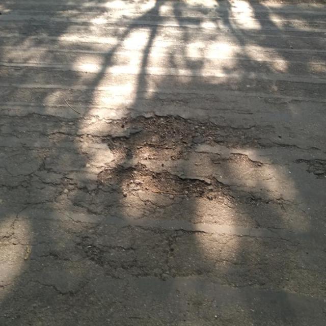 Faster R Cnn Object Detection Model By Vit