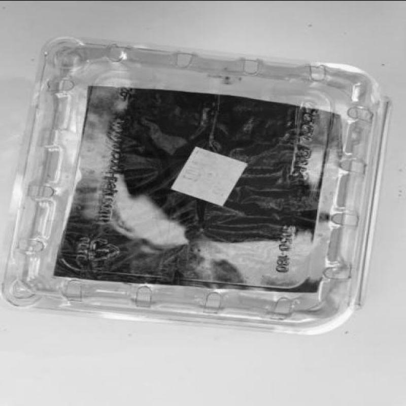 Beach cleaning robot Object Detection Dataset and Pre-Trained Model by University of moratuwa