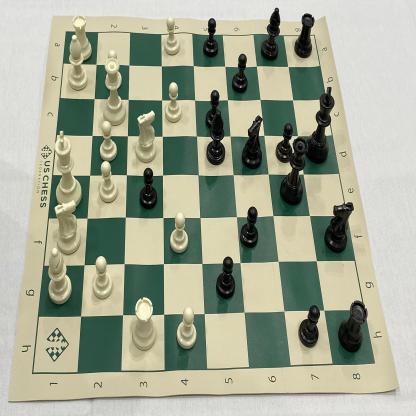 Chess pieces Object Detection Dataset and Pre-Trained Model by Parcial II