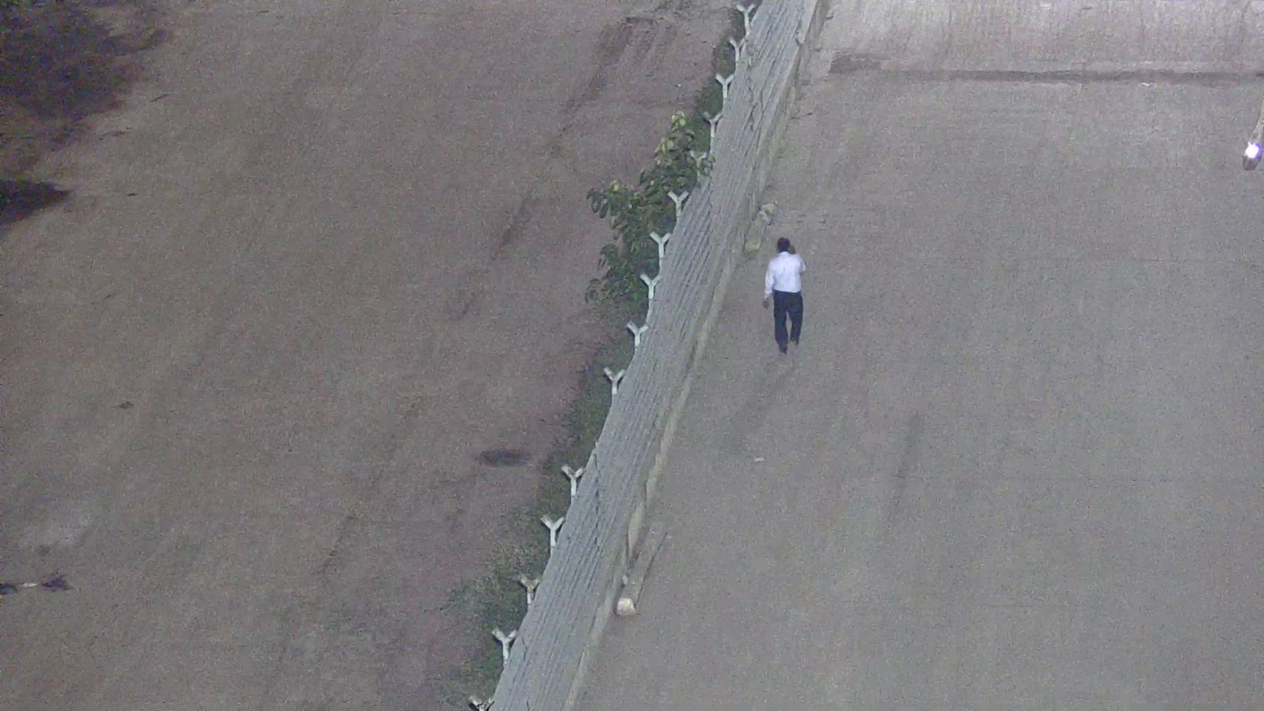 conert Object Detection Dataset by ppe