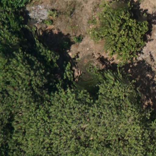 Trees Detection Object Detection Dataset And Pre Trained Model By Tree 5699