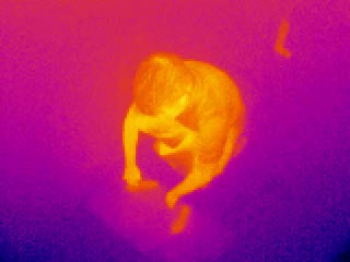 Soundmind_thermal Object Detection Dataset by roboflowbang