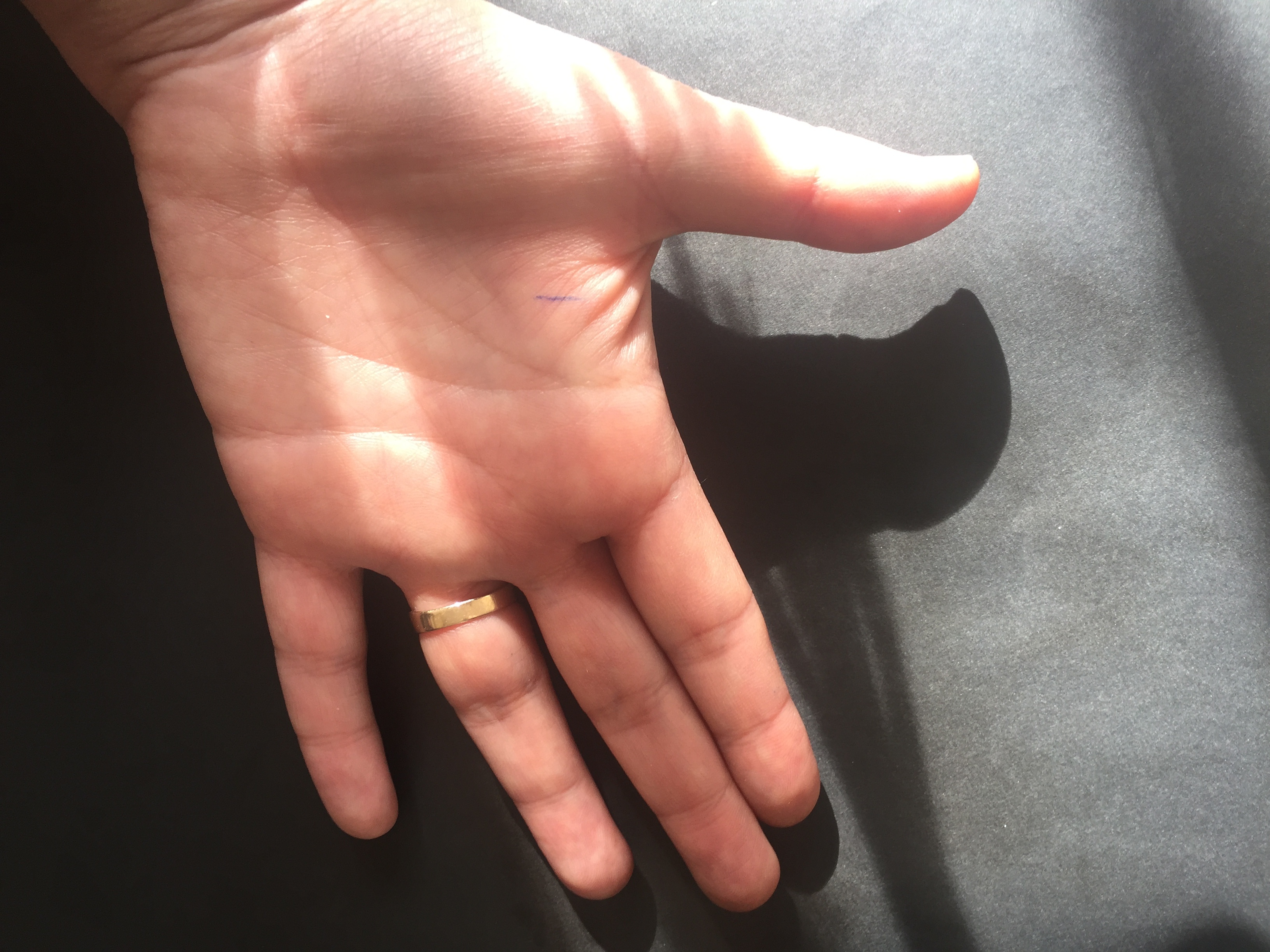 Hand Palm Detection Object Detection Dataset By Palmroi
