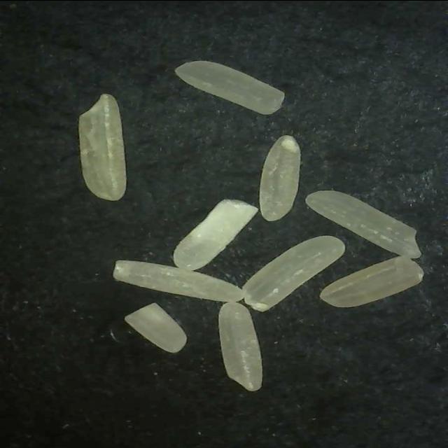 rice grain final Object Detection Dataset and Pre-Trained Model by rice grain