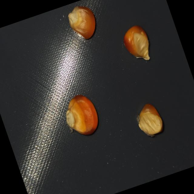 rice grain 5 Object Detection Dataset and Pre-Trained Model by rice grain