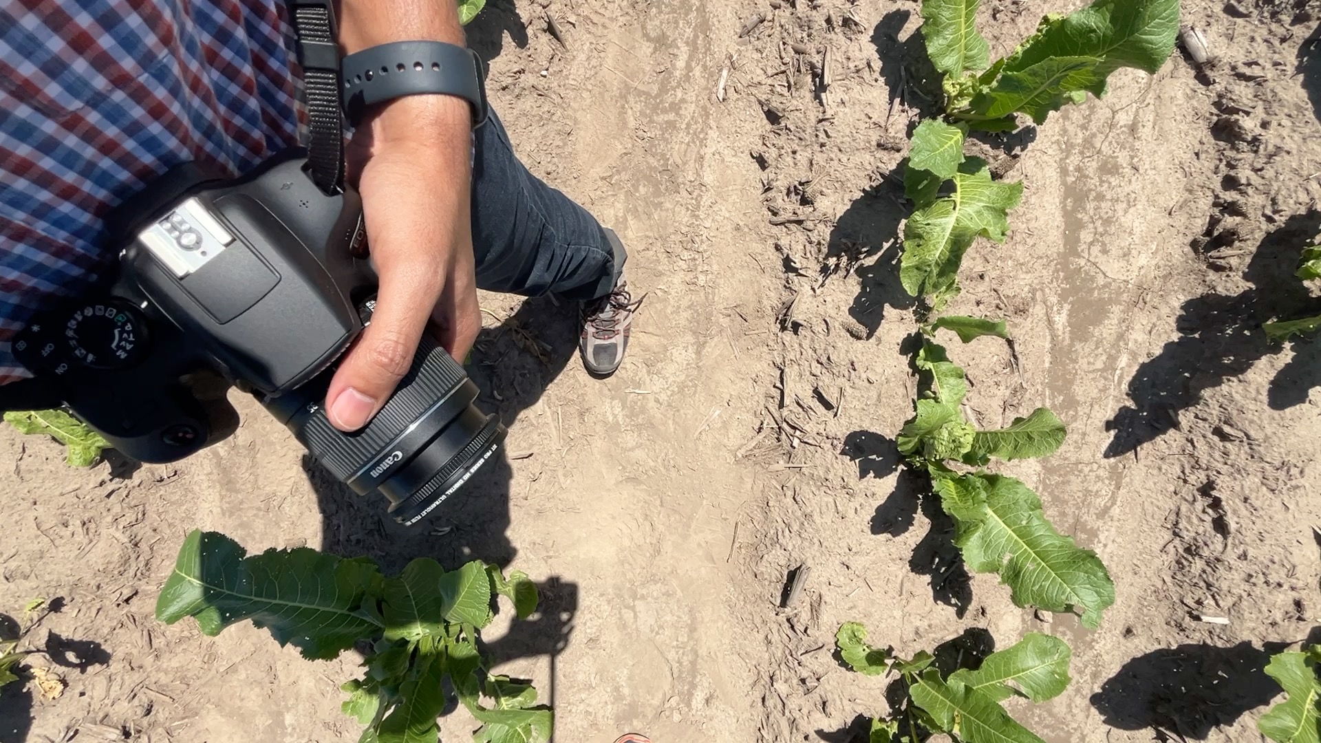 Terminator 2 Object Detection Dataset and Pre-Trained Model by Castle