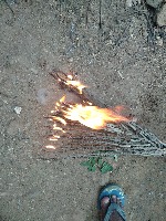 Python (python-9itxf) - Roboflow Universe