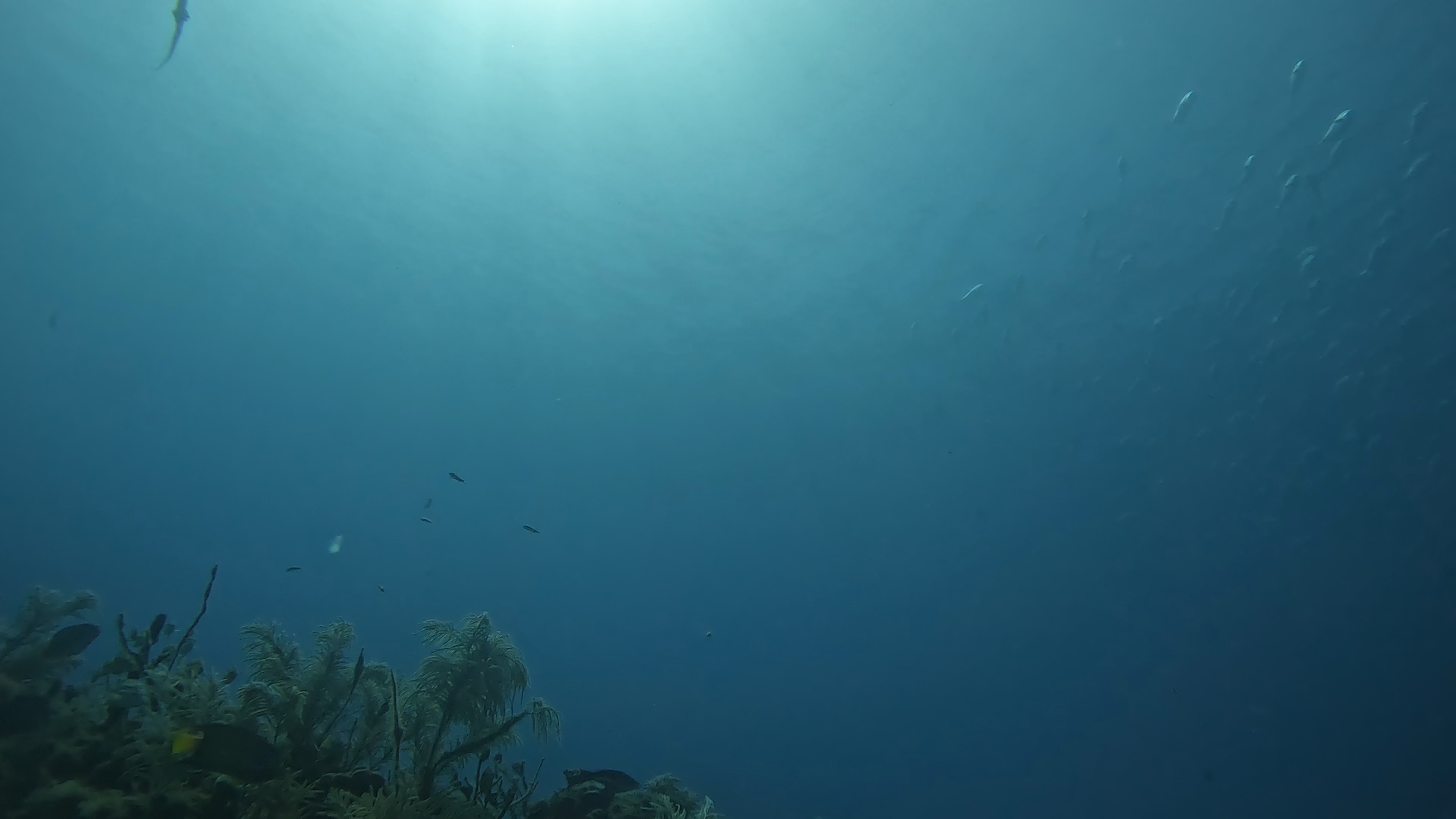 Permit27 Object Detection Dataset And Pre Trained Model By Permit Machine Learning