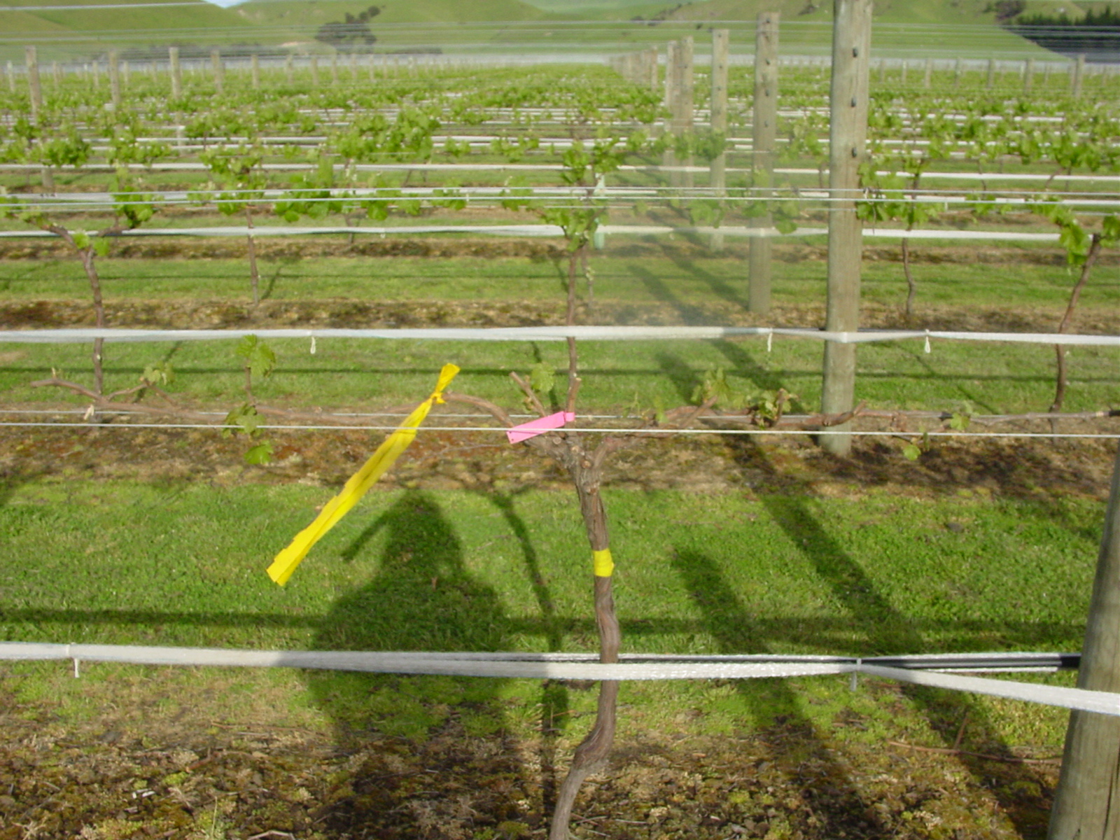 Assignment2_2 Object Detection Dataset and Pre-Trained Model by Assignment2