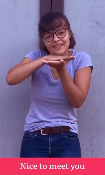 I3D Object Detection Model by THESIS PROJECT