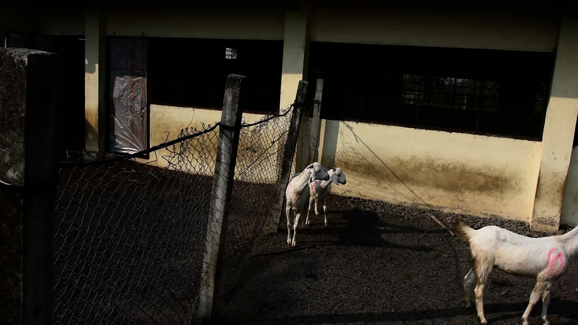 Digital Image Processing (digital-image-processing-doqdt) - Roboflow Universe