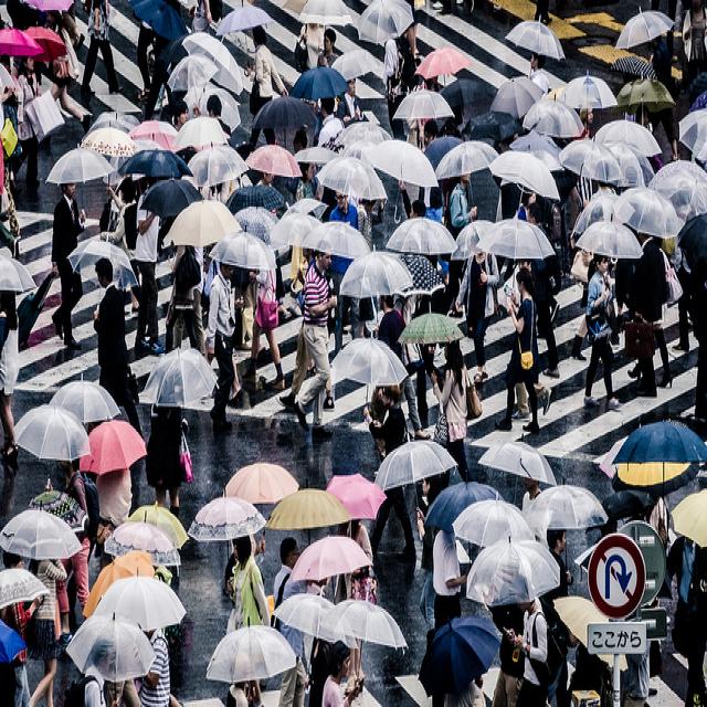 MERGED FINAL OUIOUI Object Detection Model by Version ou je vais merge