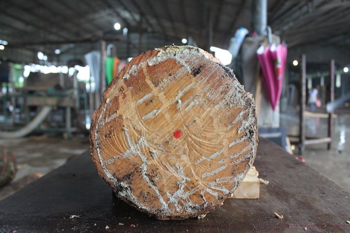 Pith Estimation Object Detection Dataset And Pre Trained Model By Walailak University