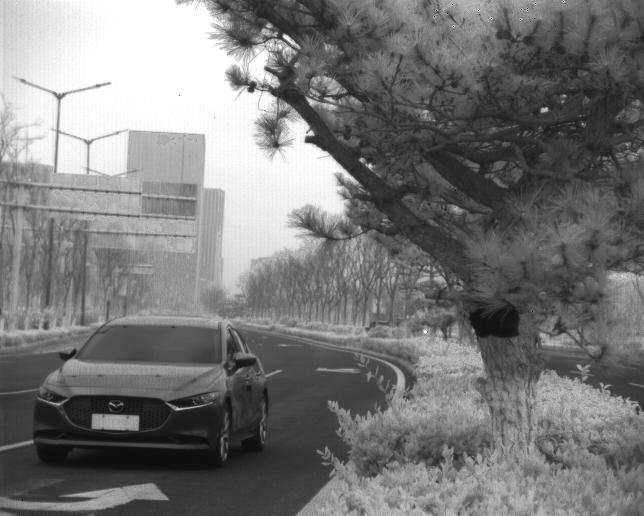 My Women In Ai Project Object Detection Model By Detection