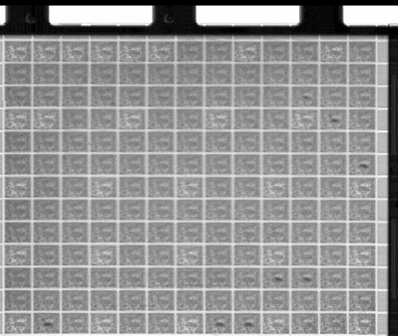 Tscan_ori Object Detection Dataset by School