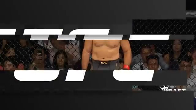 UFC Detection Object Detection Dataset by Test
