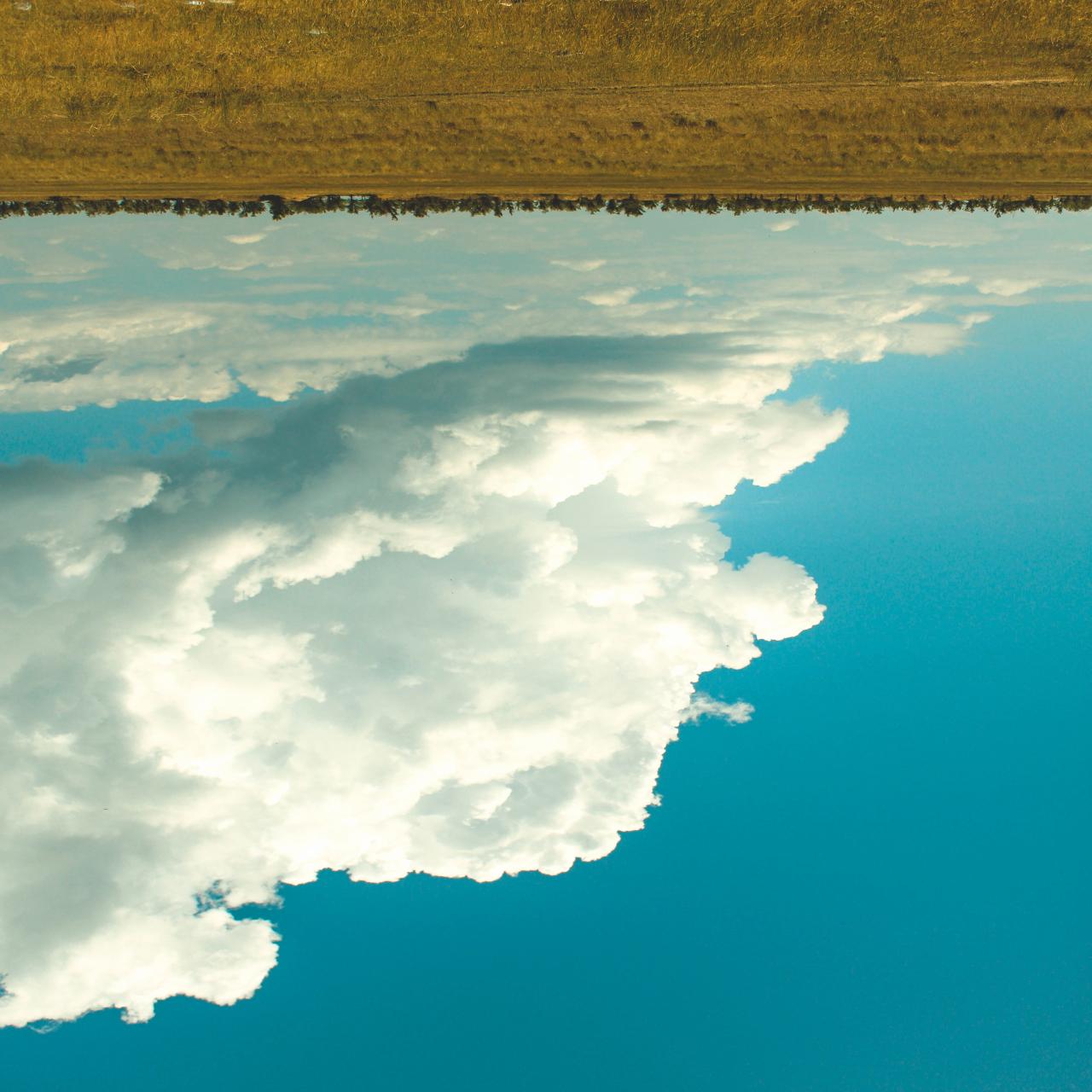 How to Use the Cloud Master Instance Segmentation API