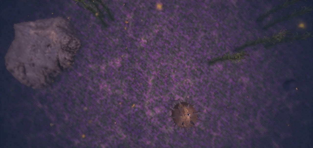 Crabs Model Object Detection Model By Bmstu