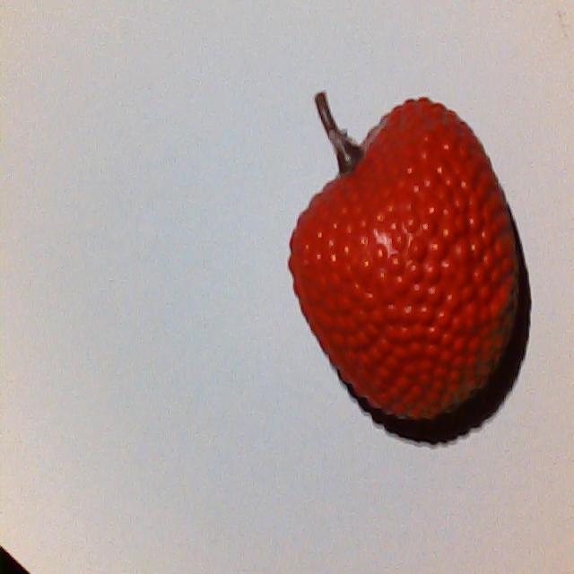 Fruit Object Detection Dataset by WhollyGreens