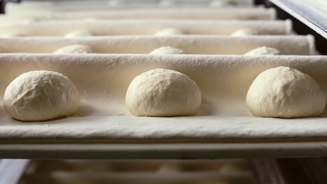 segmentation-bread Instance Segmentation Dataset by licenta